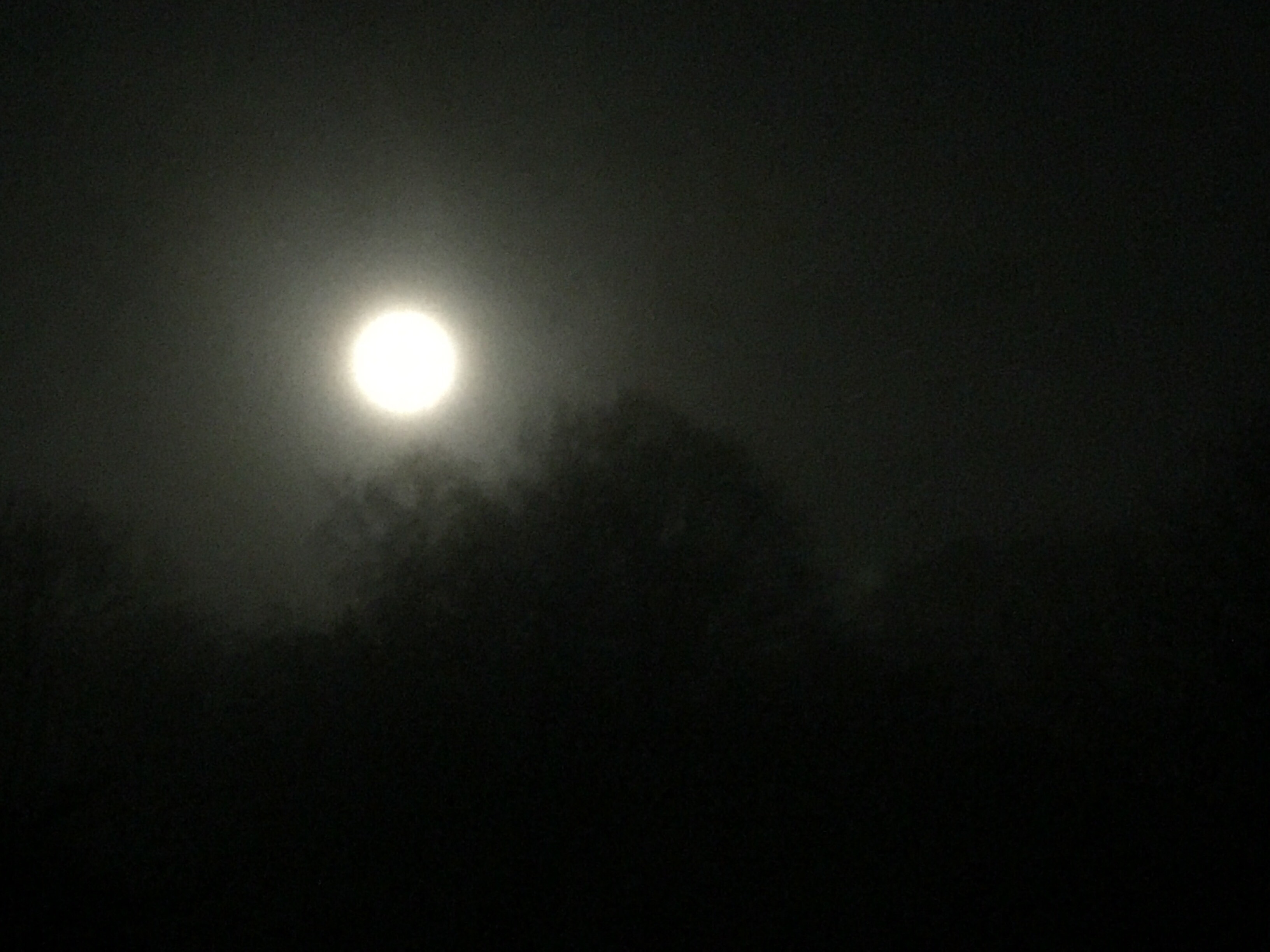 Moon Bathing – Diary of a Gay Dad. I am a full time dad to five young ...